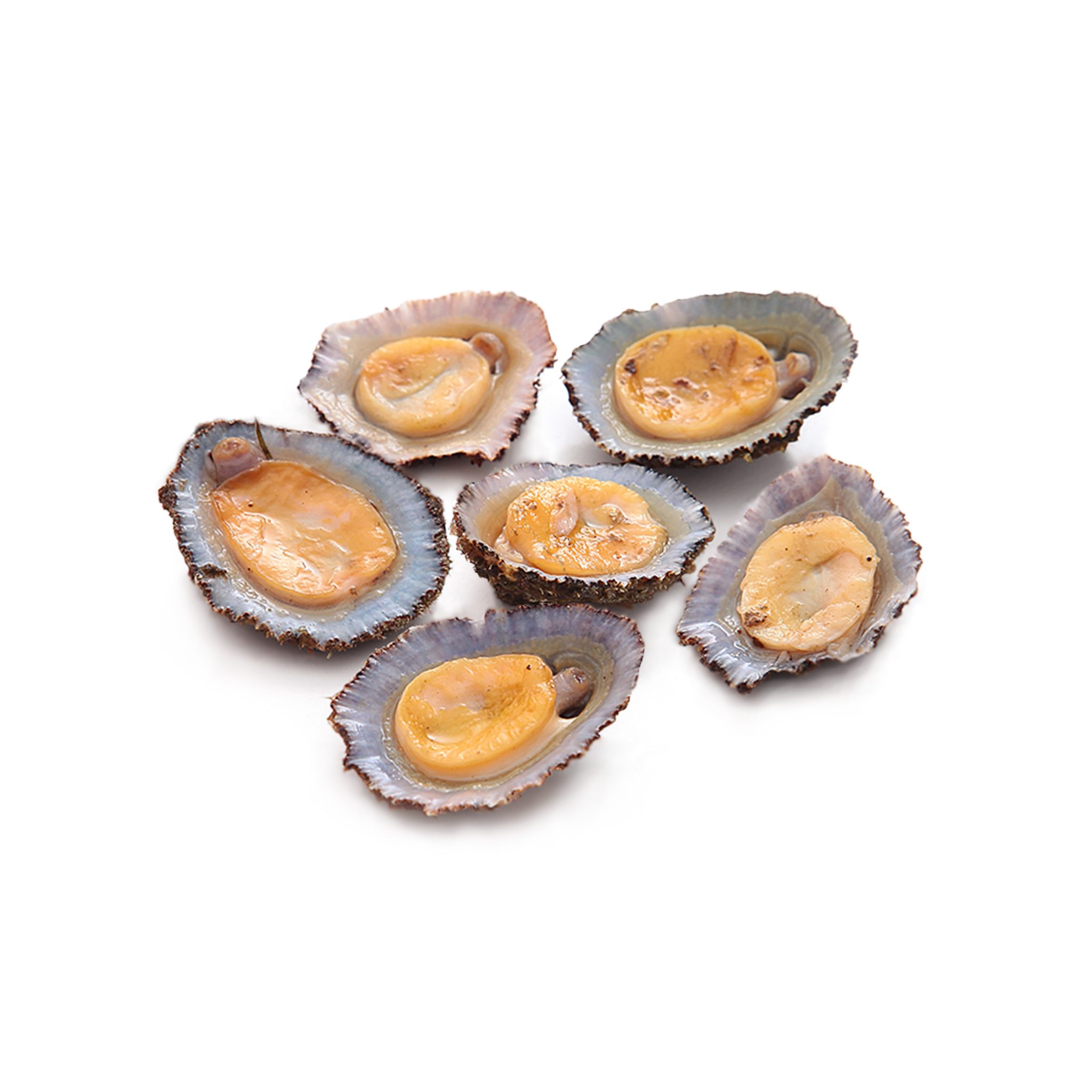 Lapas da Madeira - Sabores do Costume