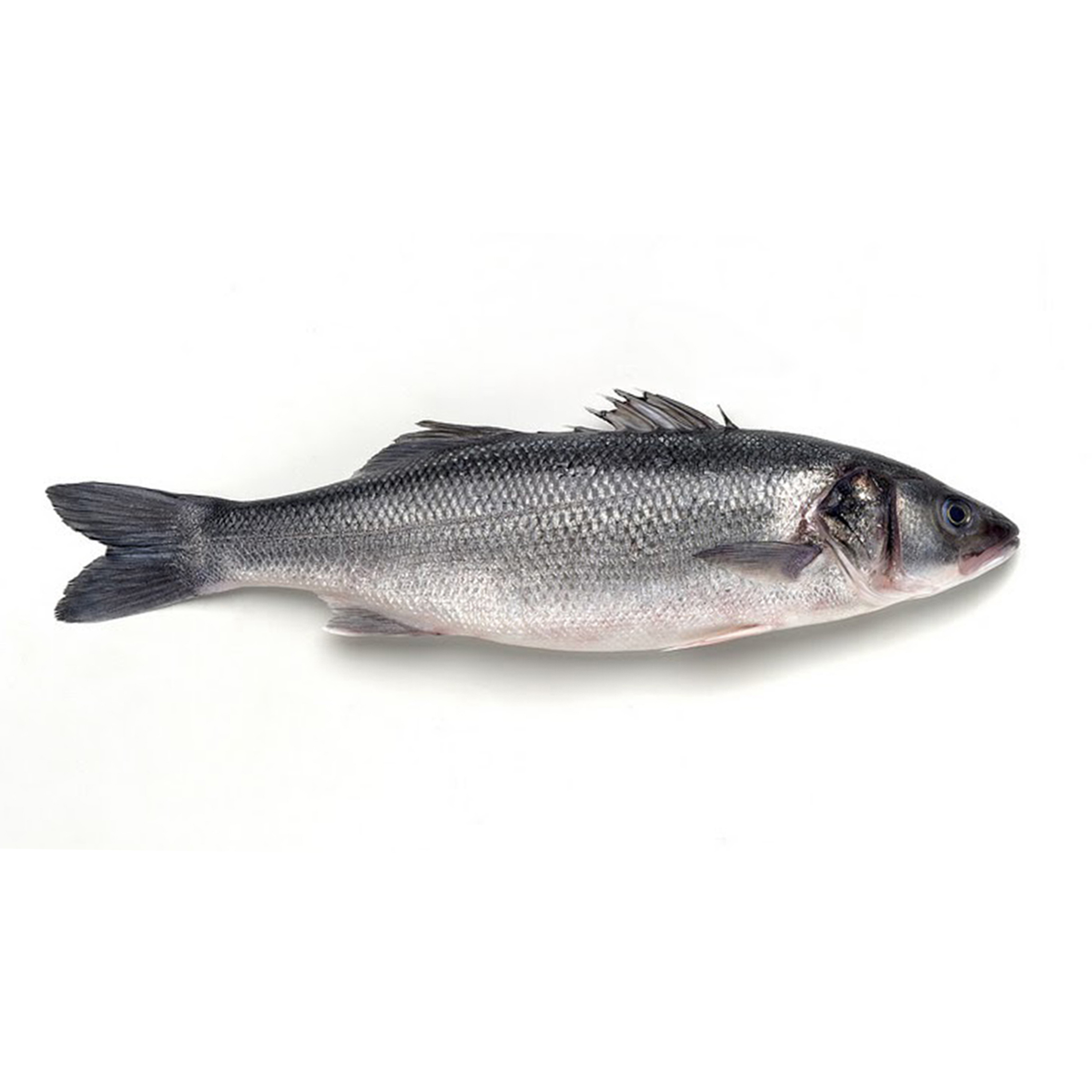 Robalo - Sabores do Costume