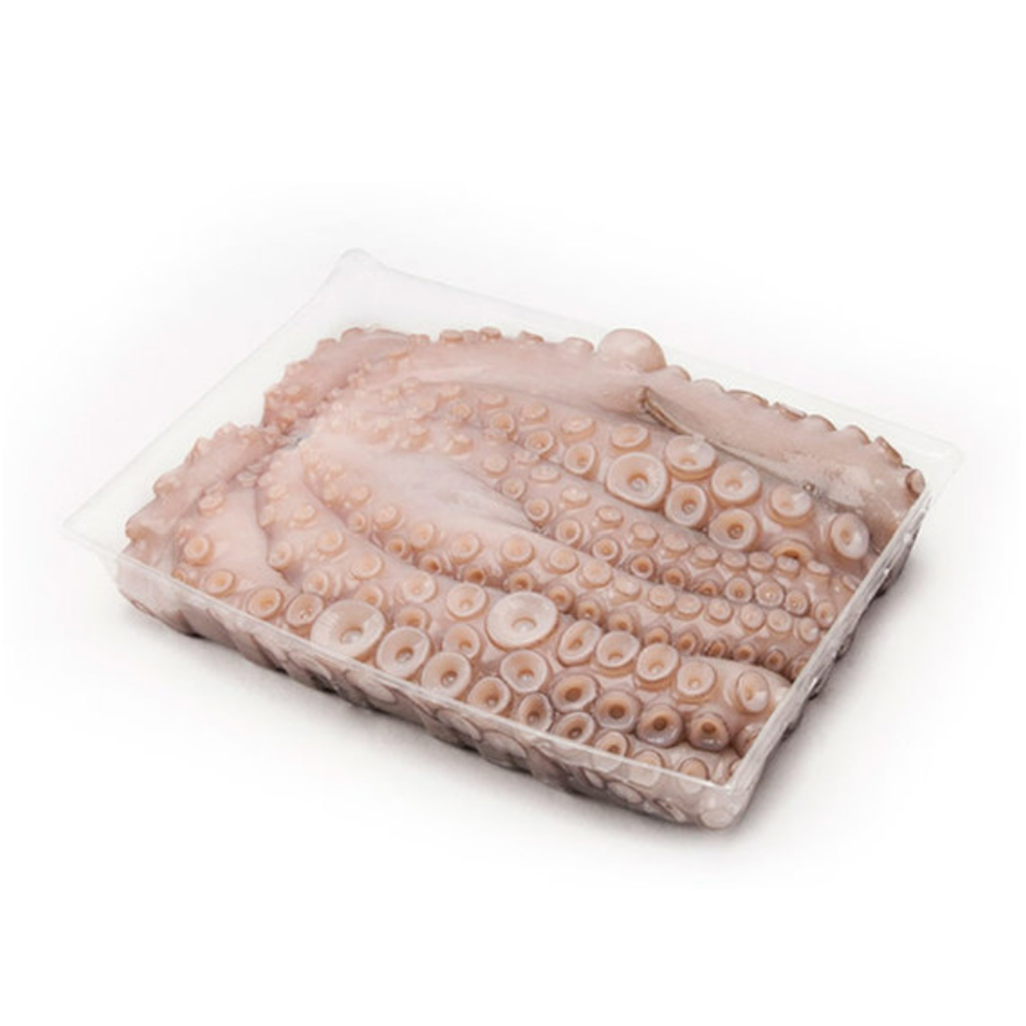 Polvo Roto - Sabores do Costume